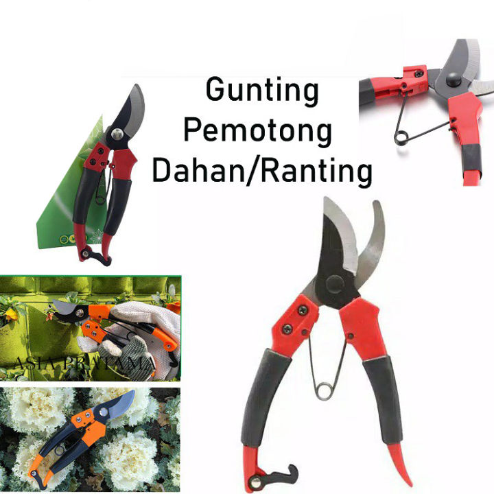 Gunting Tanaman Peralatan Berkebun Taman Ranting Garden Pohon Dahan ...
