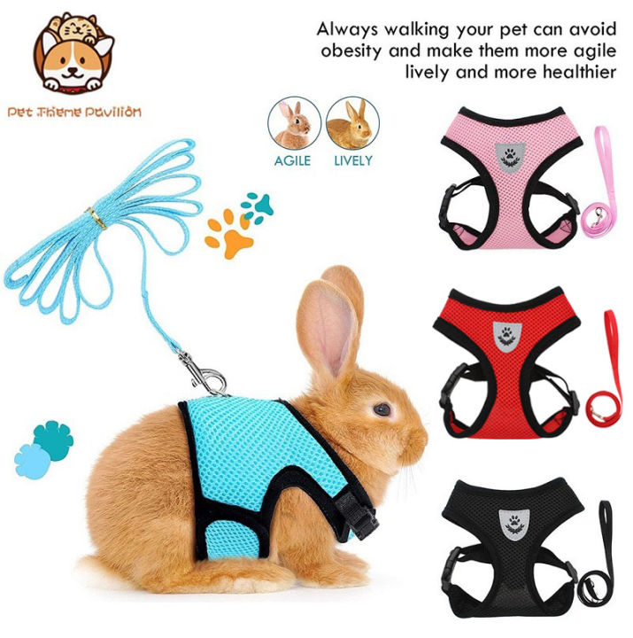 Pet Leash With Harness Mesh Breathable Adjustable Rabbit Leash Rabbit ...