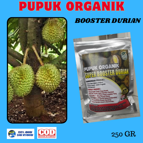 Booster Durian Agar Cepat Berbuah Lebat Pupuk Pelebat Buah Durian Granul Terbaik Untuk Pohon ...