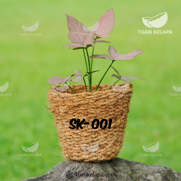 Pot Sabut Kelapa Tali Standart Polos / Pot Bunga / Pot Tanaman / Wadah ...