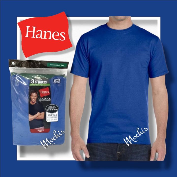 Hanes Global Tagless Comfort Colored T-Shirts UNISEX | Lazada PH