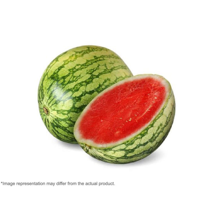 Watermelon Semi-Seedless (5-5.5kg) | Lazada PH