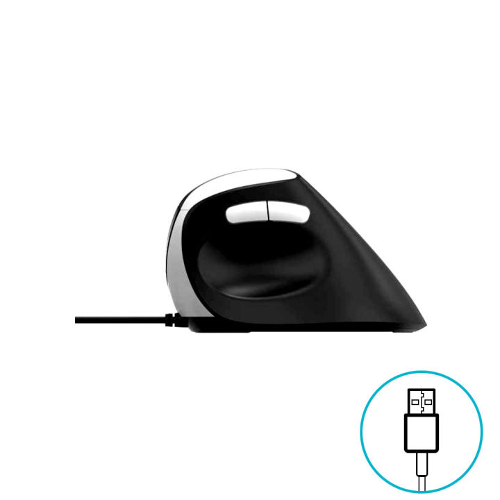 Rapoo EV200 Black Silent Wired Ergonomic Mouse | EJDalanon Enterprise ...