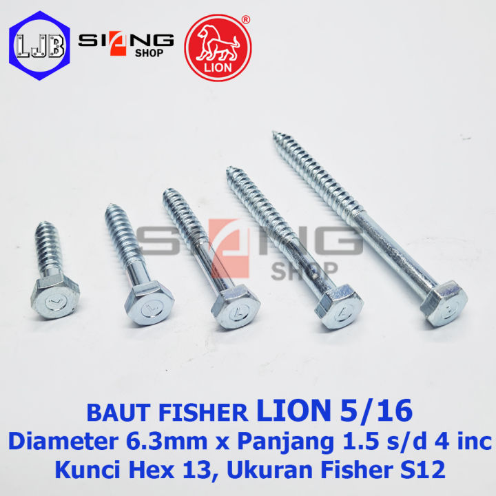 Sekrup Fisher 5/16 Lag Screw LION Galvanis | Lazada Indonesia