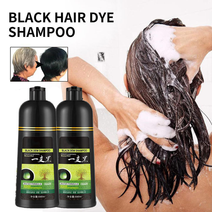 Black /Brown Hair Shampoo Herbal Hair Dye Shampoo Brown/Black Color ...