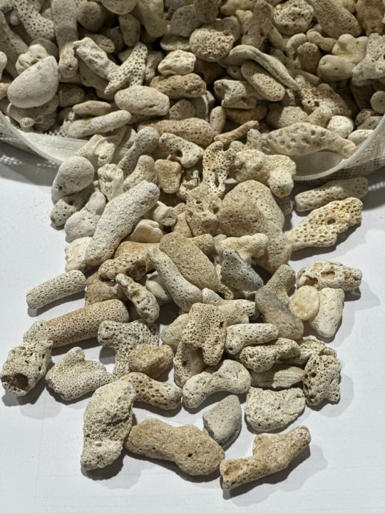 [READY STOCK IN SG] Aquarium Fish Tank Coral Chips | Lazada Singapore