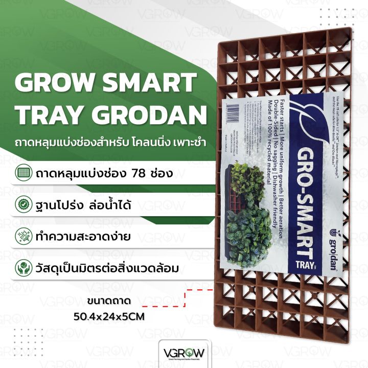 Grow Smart Tray Grodan ถาดหลุ่มแบ่งช่องสำหรับ โคลนนิ่ง เพาะชำ โกรแดน ...