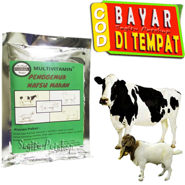 VITAMIN SAPI KAMBING DOMBA KERBAU KUDA B MULTIVITAMIN PENGGEMUK HEWAN ...