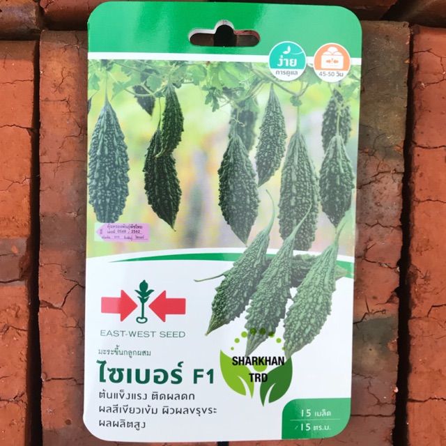 ♜Mini Pack 15 Seeds CYBER F1 Biji Benih Peria Katak F1 Hybrid Bitter ...