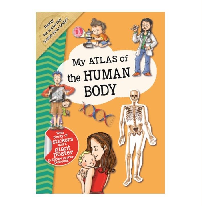 Atlas of The Human Body Activity Book with Stickers & Poster For Kids ...