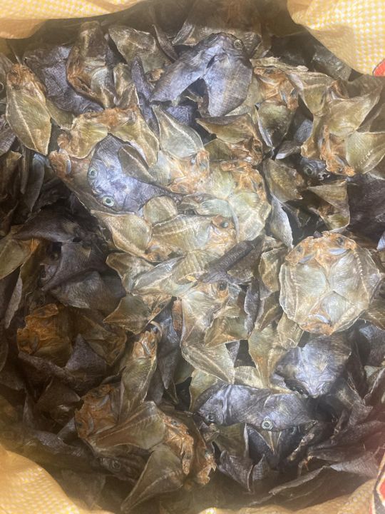 Dried Danggit fish fresh from Palawan, Unsalted Boneless! 50G & 100G ...