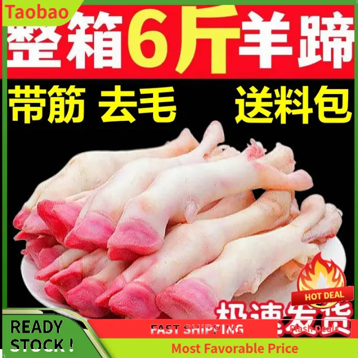 Freshly Killed Sheep's Hooves, High-quality White Hooves, Goat's Hooves ...