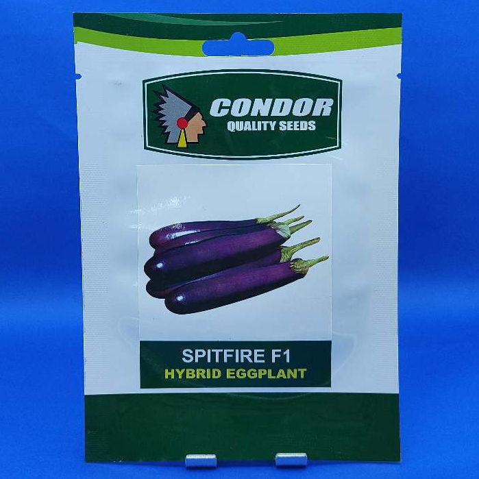 CONDOR SPITFIRE F1 HYBRID EGGPLANT SEEDS (1.5 GRAMS) | Lazada PH