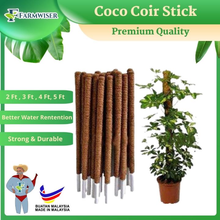 [READY STOCK] Coco Stick For Plants/ Flower Climb Batang Sabut Kelapa ...