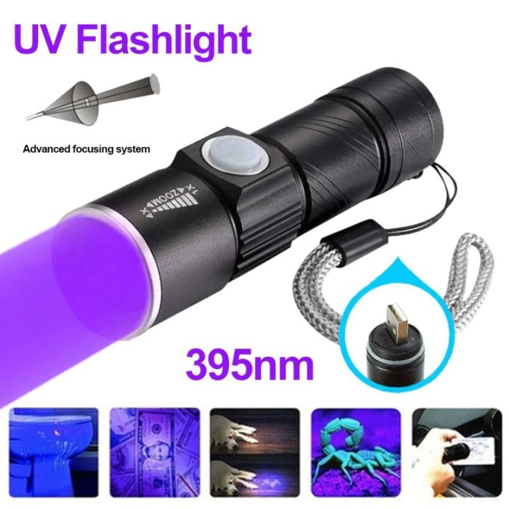 ไฟฉายแสงสีม่วง UV Flashlight Blacklight USB Rechargeable LED 395Nm ...