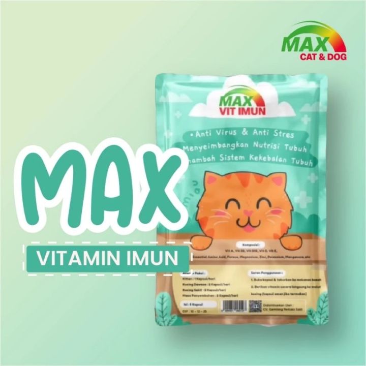 MAX VIT IMUN Vitamin dan Suplemen Daya Tahan Tubuh Imunitas / Imun ...