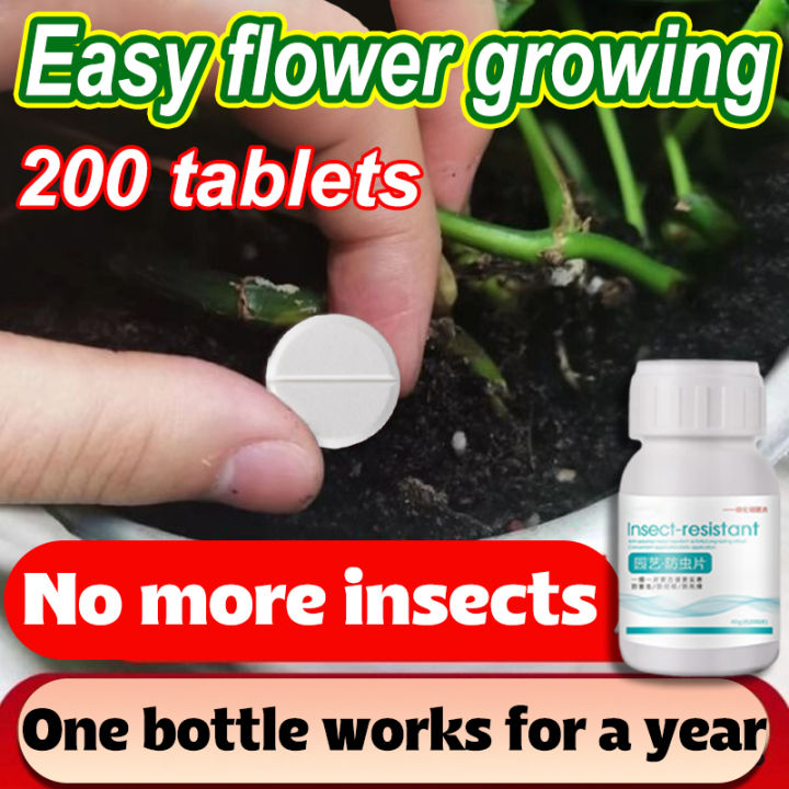 🌼365-day plant pest control🌼Pesticides for plants Racun serangga ...