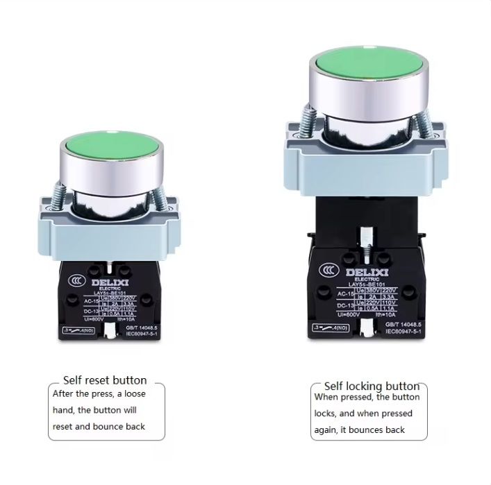Delixi Push Button Switch Lay5S-BE101 | Lazada PH