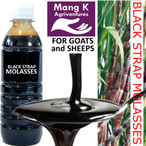 BLACK STRAP Molasses for GOATS Sheep and Cattle 1Liter | Lazada PH
