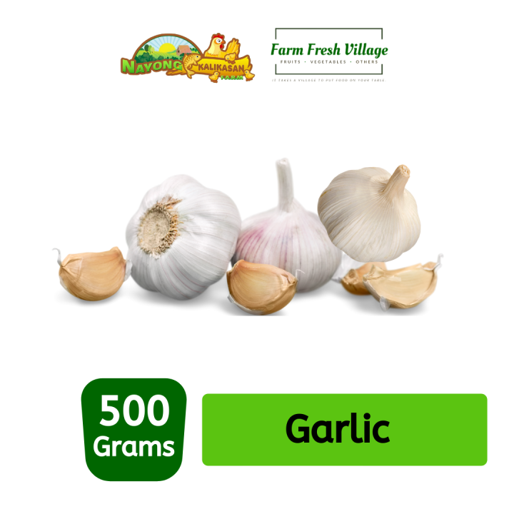 FARM FRESH VILLAGE - Garlic 500 grams | Lazada PH