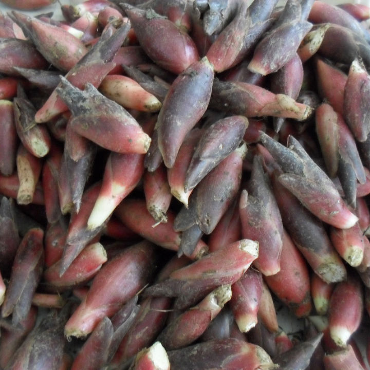 Yang He fresh postage wild Yang He Jiang Yang Huo Yang Huo Jiang Ming ...