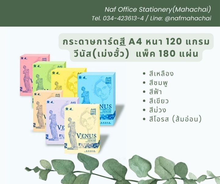 กระดาษการ์ดสี A4 ความหนา 120 แกรม วีนัส แพ็ค180แผ่น Th