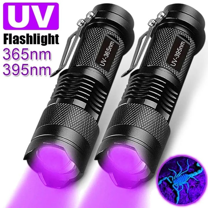 UV Flashlight Lamp USB Rechargeable 395/365nm Black Scorpion UV Pet ...