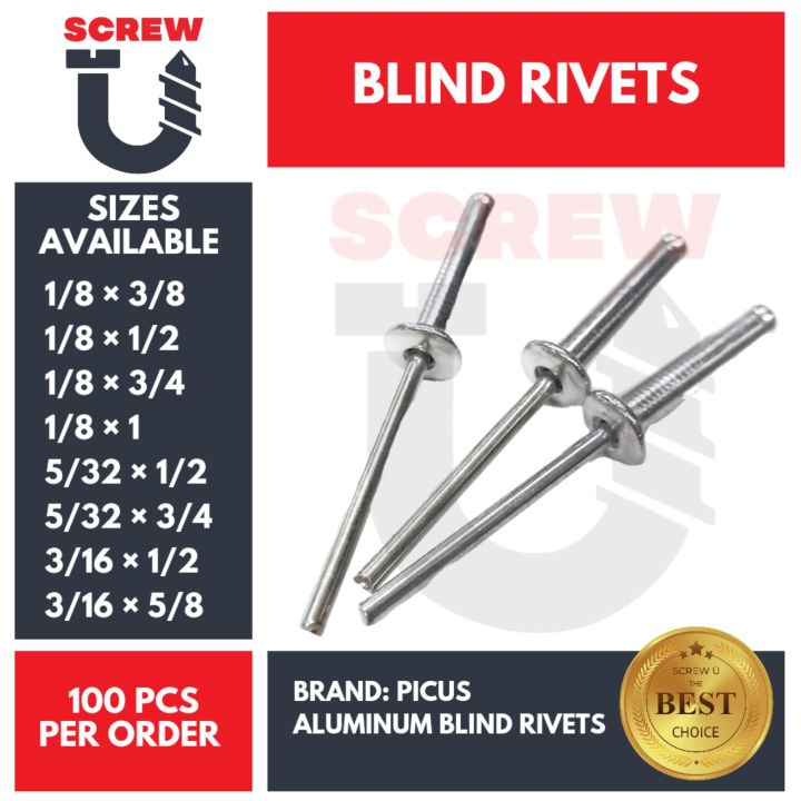 Blind Rivets Picus Aluminum (100pcs) | Lazada PH