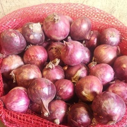 Sibuyas na pula lokal best price red onions 1kg to 25kg | Lazada PH