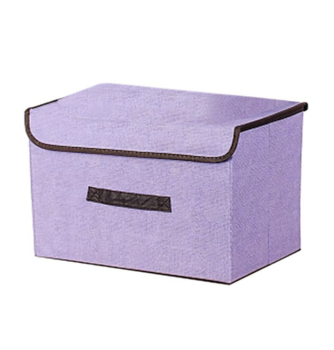 Large Foldable Storage Box with Cover (LARGE) 36 x 24 x 23cm | Lazada PH