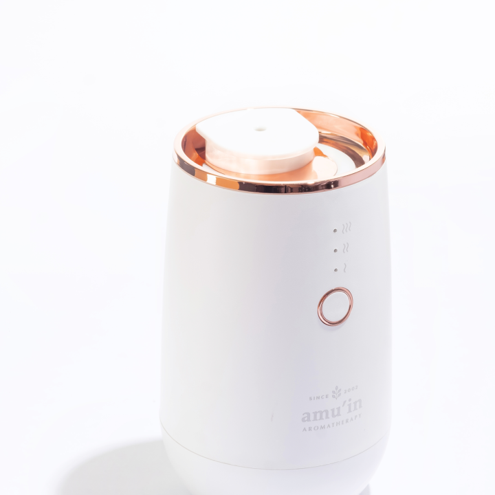 Amu'in Waterless Diffuser | Lazada PH