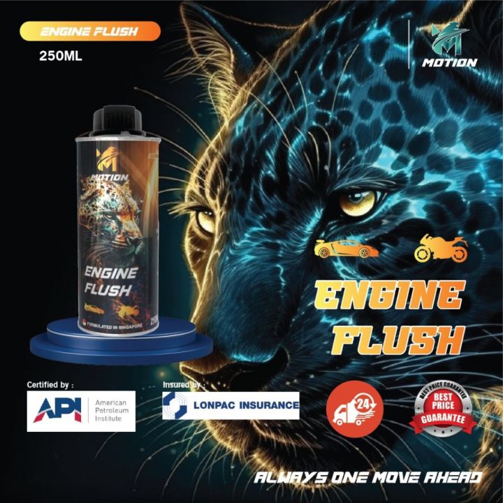 MOTION Engine Flush Car Motorcycle (250ml) | Lazada PH