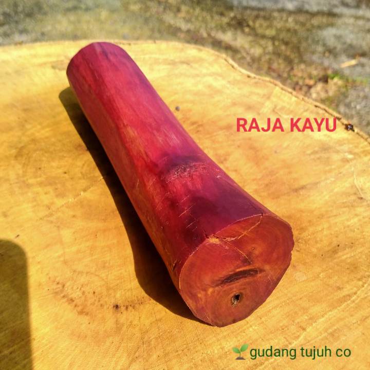 Tradisional Raja Kayu Hutan Original | Lazada