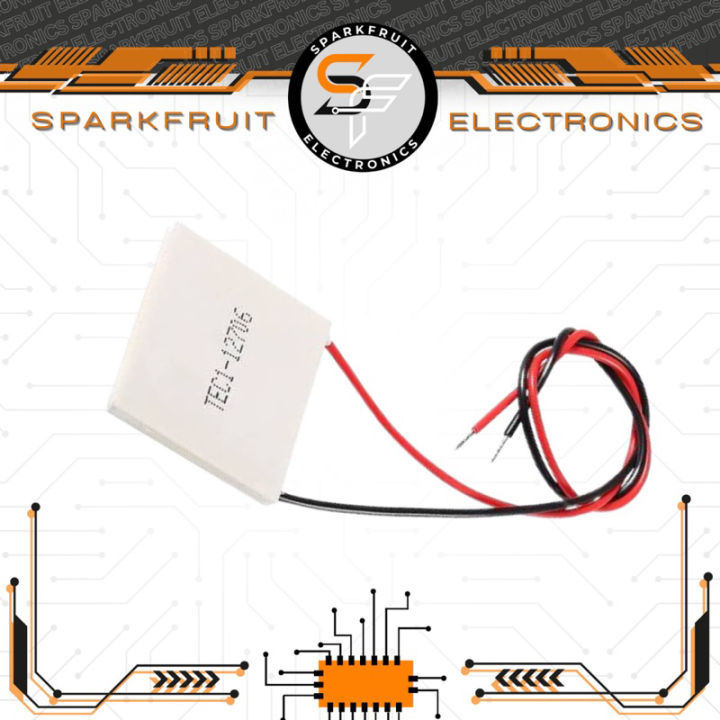 Thermoelectric Peltier Cooler TEC-12706 | Lazada PH