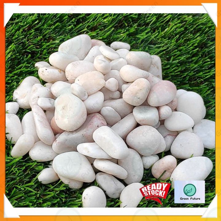 SMALL WHITE STONE 2-5cm,BATU KECIL PUTIH, 白色小石头 1KG | Lazada