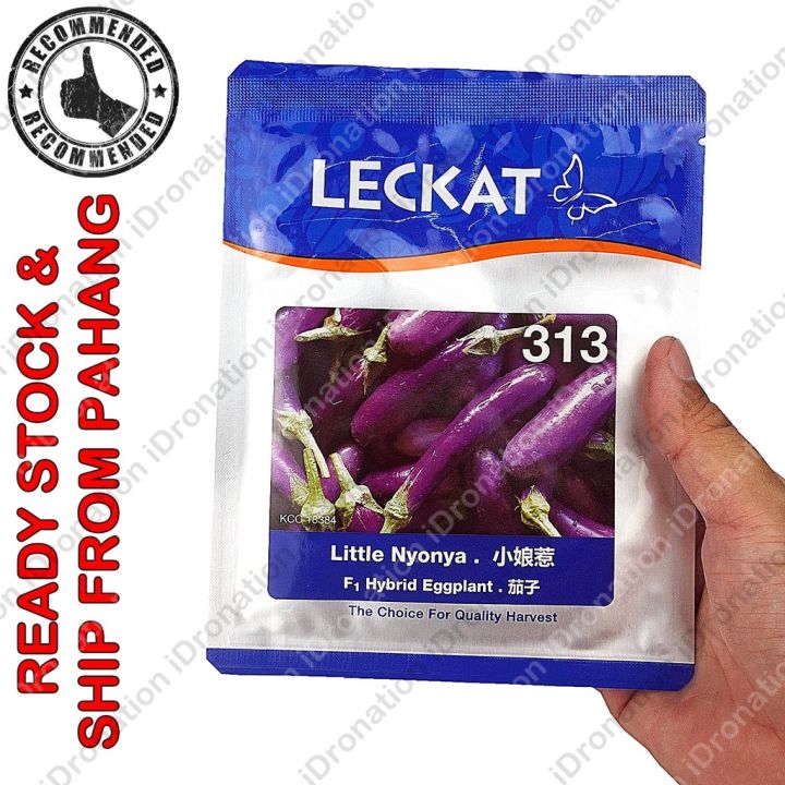 Seed Seeds Benih50 Biji Terung Terong Mini Panjang Purple Bride F1 ...