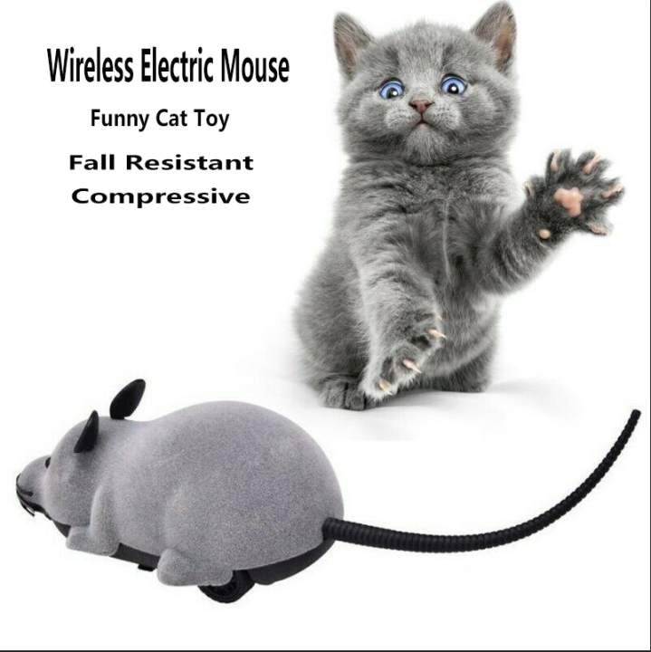 Simulation Wireless Mouse Electric Flocking Tricky Cat and Puppy ...