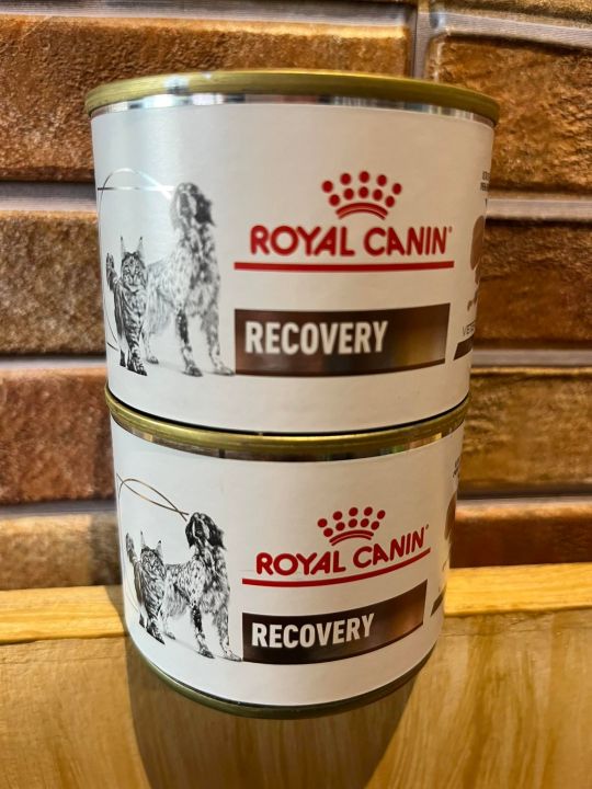 Royal Canin Recovery Canned Wet Food for Dogs and Cats (195g) | Lazada PH