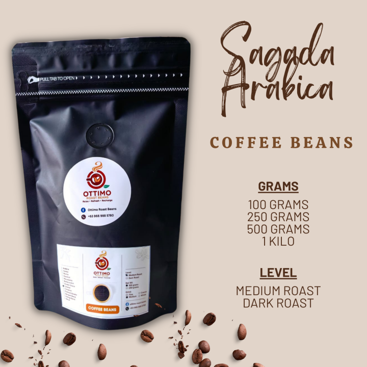 Sagada Arabica Coffee Beans - Medium and Dark Roast - 100g/250g/500g ...