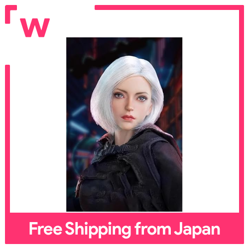 VERYCOOL VCF-2060 1/6 head carving figure head with beautiful head ...