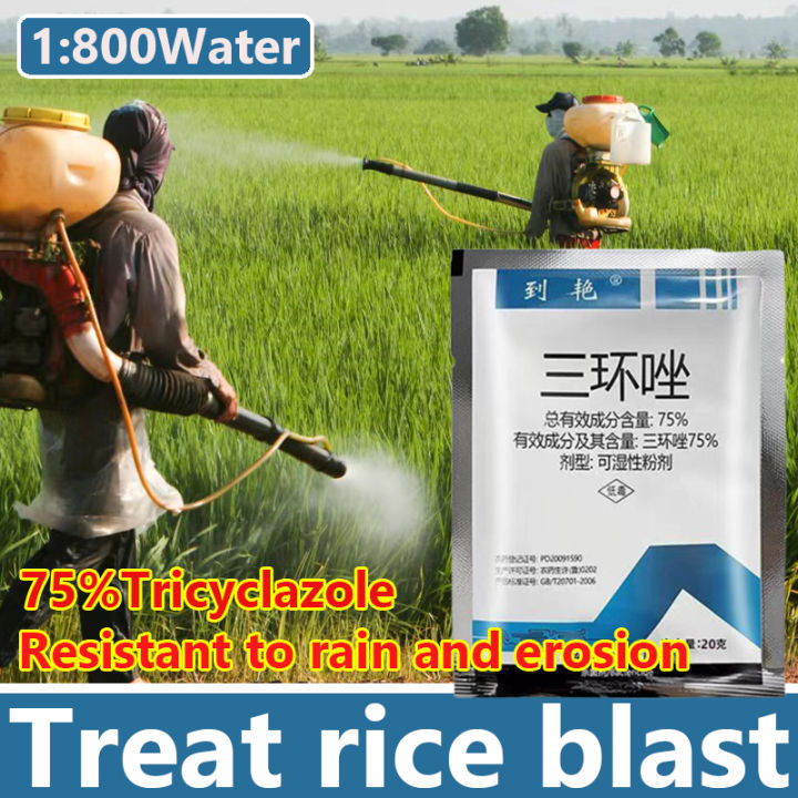 🌾Treat rice blast🦠 fungicide for rice 75%Tricyclazole Resistant to rain ...
