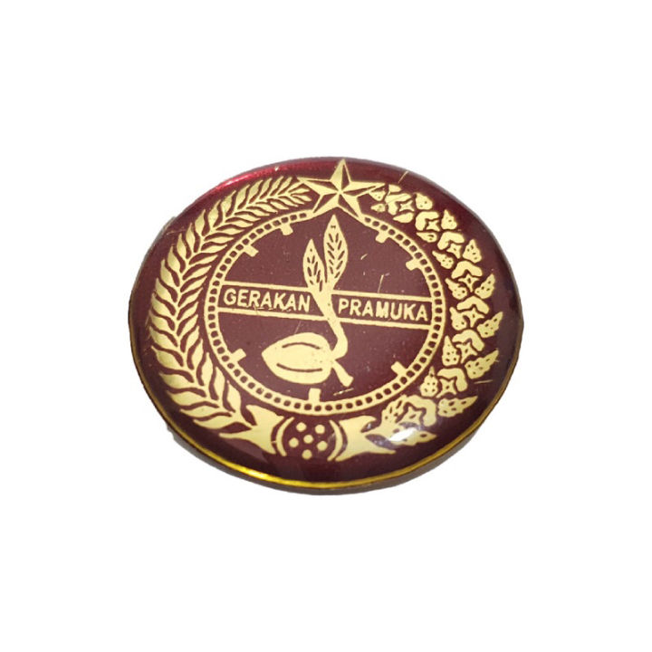 Pin Pembina Pramuka Putri Kuningan Resin, Coklat | Lazada Indonesia