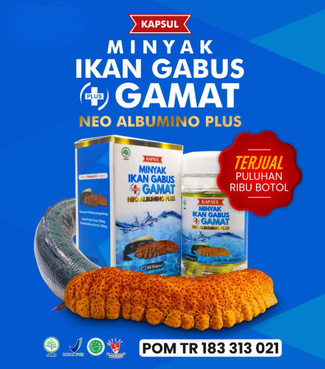 Minyak Ikan Gabus Plus Gamat 60 Kapsul - Neo Albumino Plus Gamat Emas | Lazada Indonesia
