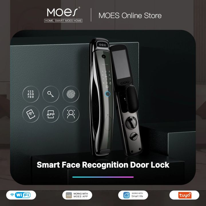 Wifi Smart Securtiy Door Lock 3d Face Recognition 1mp Camera Infrared Night Vision Wake Up