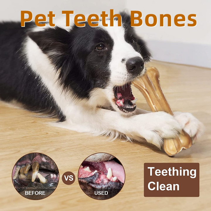 Dog Masticate Cowhide Bones Chews Toys Dog Treat Pet Snack Tooth ...