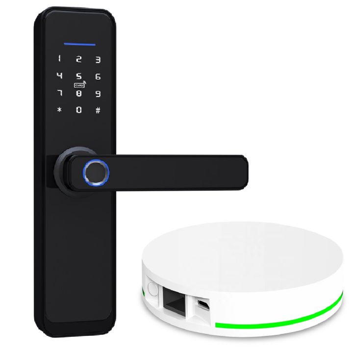 Zemismart Tuya Zigbee Smart Door Lock Alexa Voice Biometric Locks Encryption with Keys IC card ...