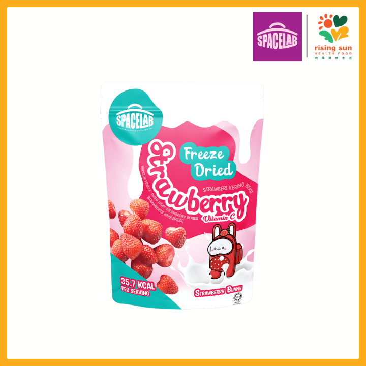 Space Lab Freeze Dried Strawberry Fruit 19g | Lazada