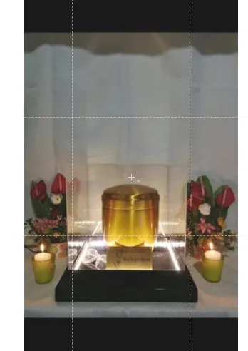 acrylic urn box case display dust cover | Lazada PH