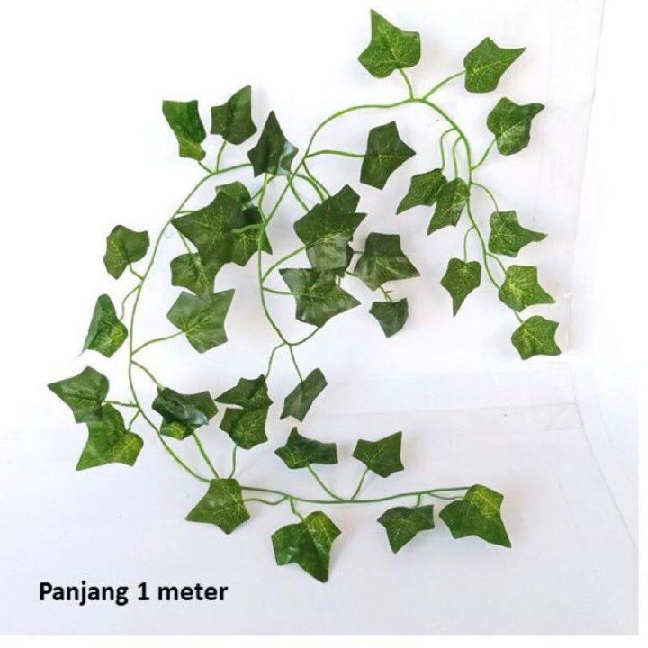 Daun Rambat Rotan Ivy Kecil Plastik 1m | Lazada Indonesia