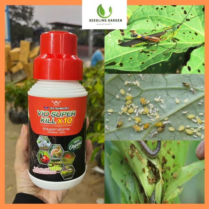 Vio Super Kill X10 ฆ่าแมลงที่ทำให้เกิดโรค ป้องกันและไล่แมลงที่มี ...